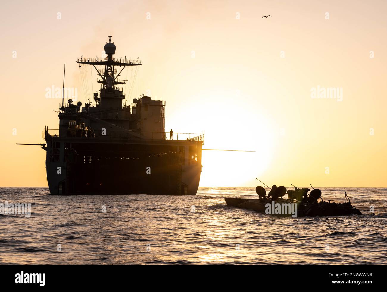 A U.S. Marine Corps Amphibious Combat Vehicle with 3rd Assault ...