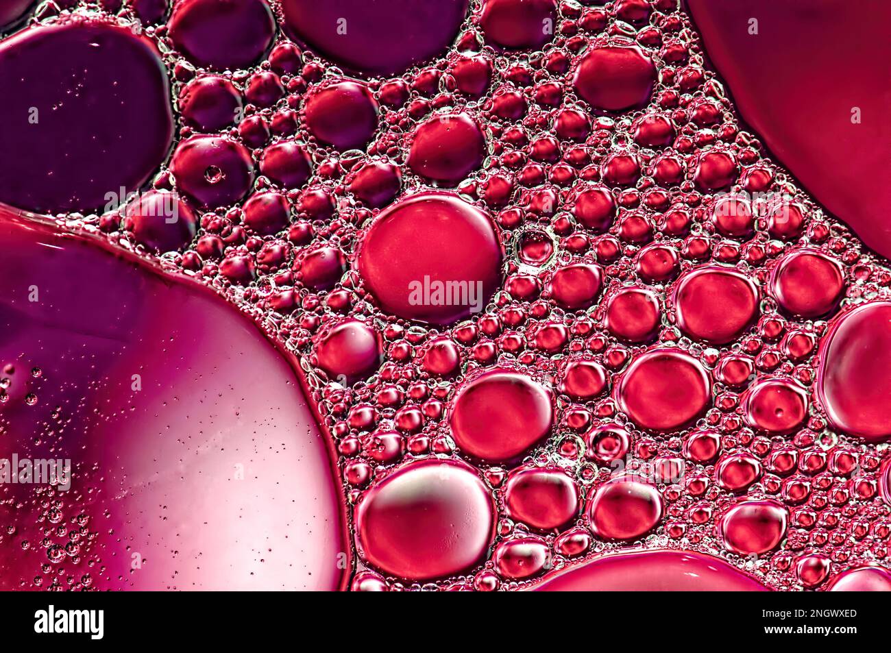 Red Bubbles abstract - oil on water photograph Stock Photo - Alamy