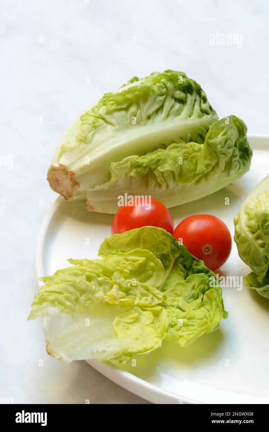 Baby lettuce hi-res stock photography and images - Alamy