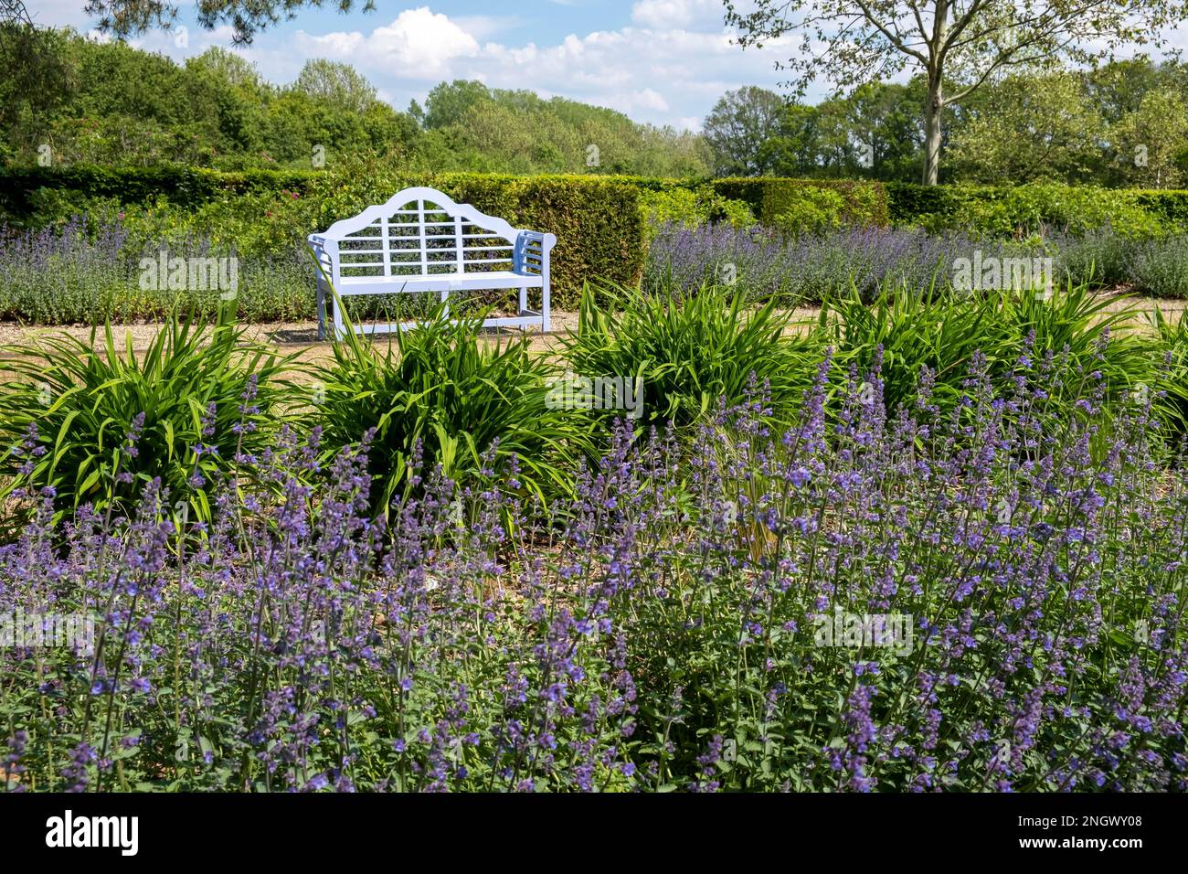 Blue park bench Stock Photo - Alamy