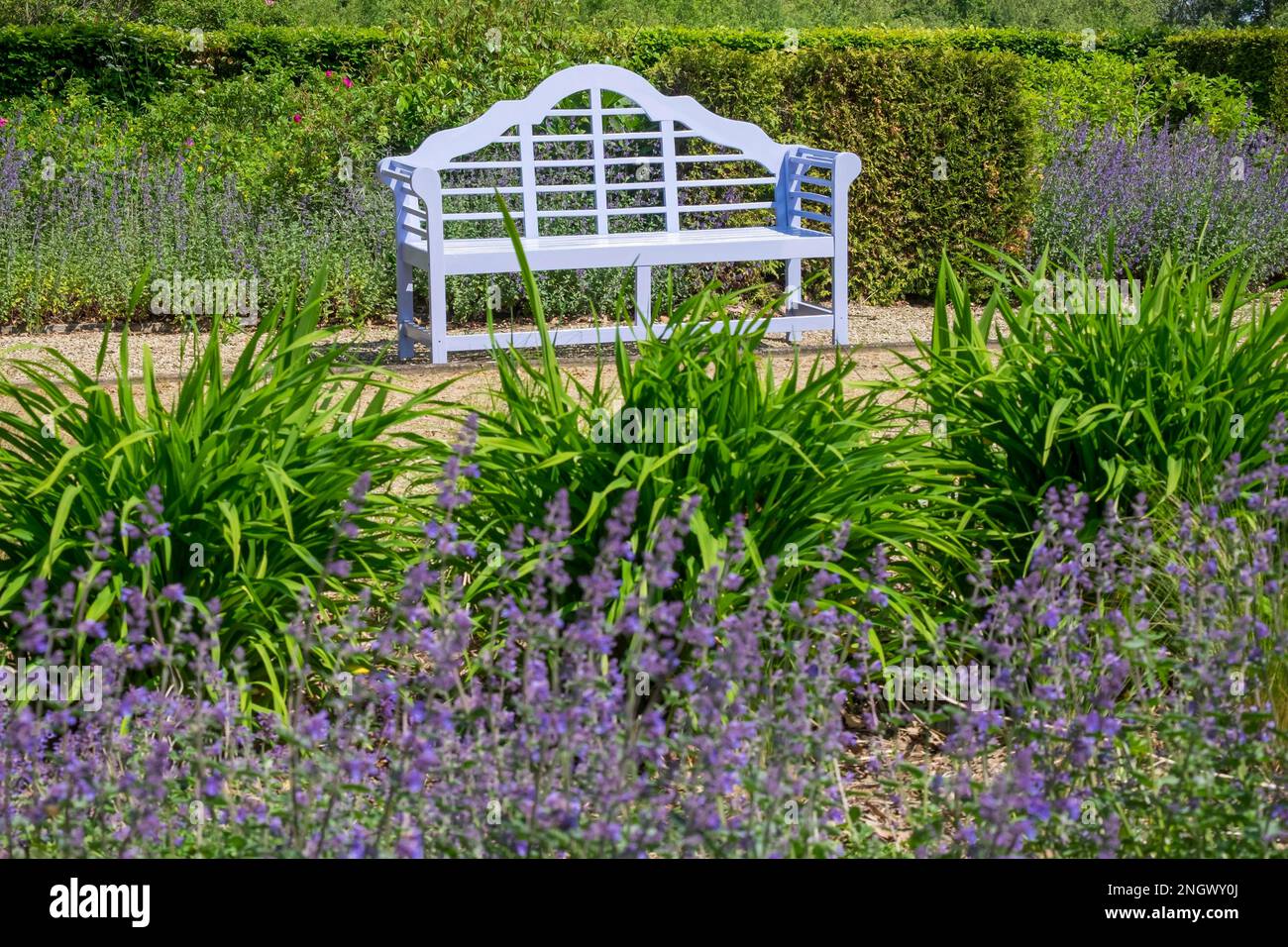 Blue park bench Stock Photo - Alamy