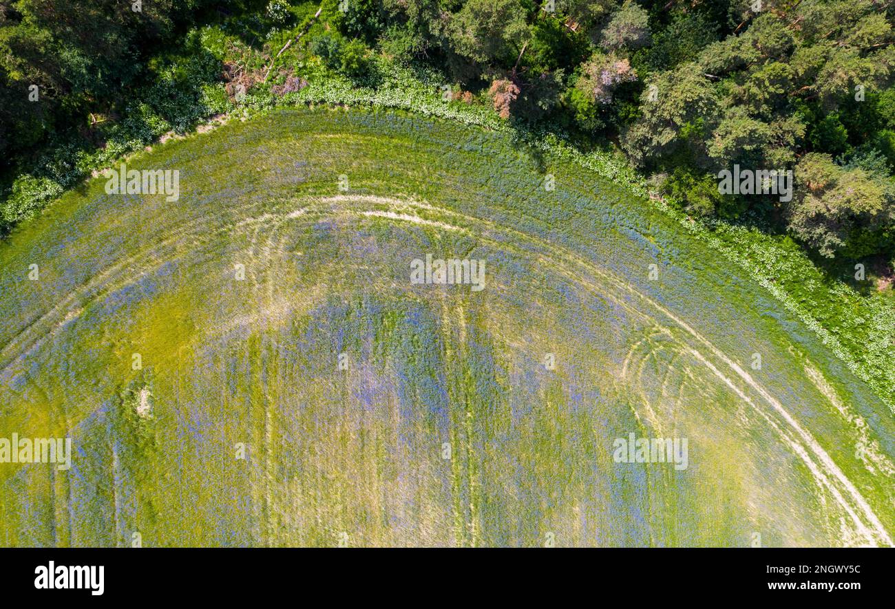 Thriving species hi-res stock photography and images - Alamy