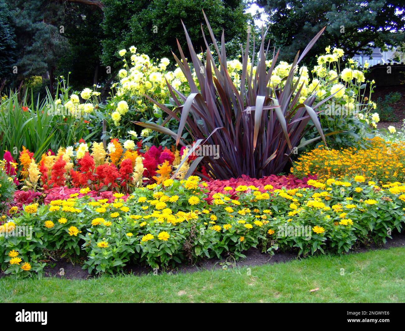 English country gardens and borders with flowers, plants, bushes trees ...
