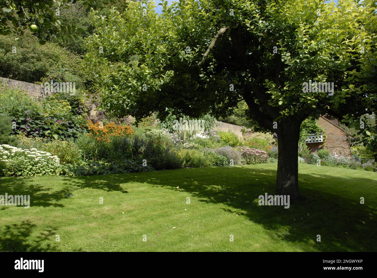 English country gardens and borders with flowers, plants, bushes trees ...