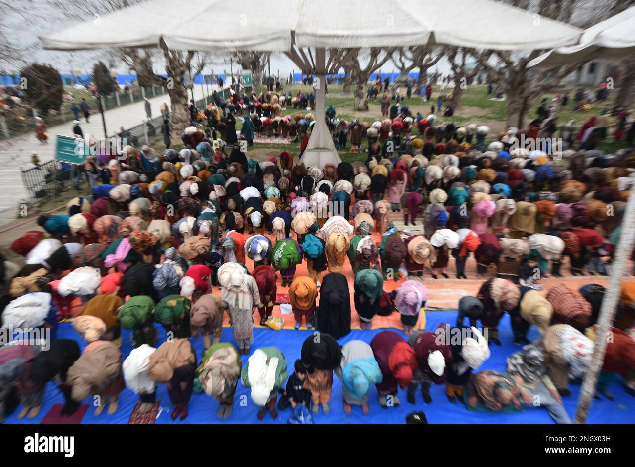 Pbuh hair hi-res stock photography and images - Alamy