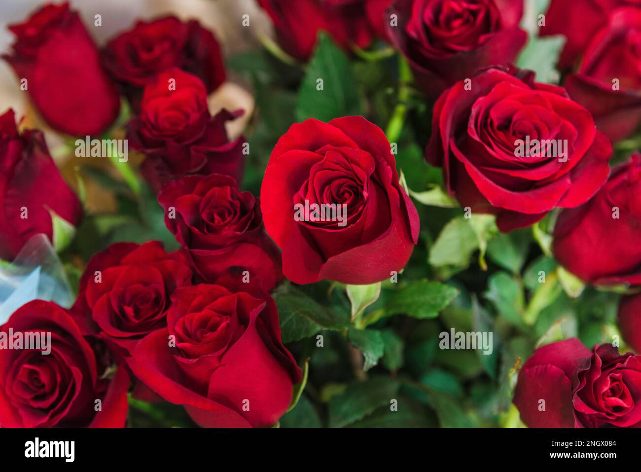 Images Of Beautiful Red Roses Bouquet at James Engel blog