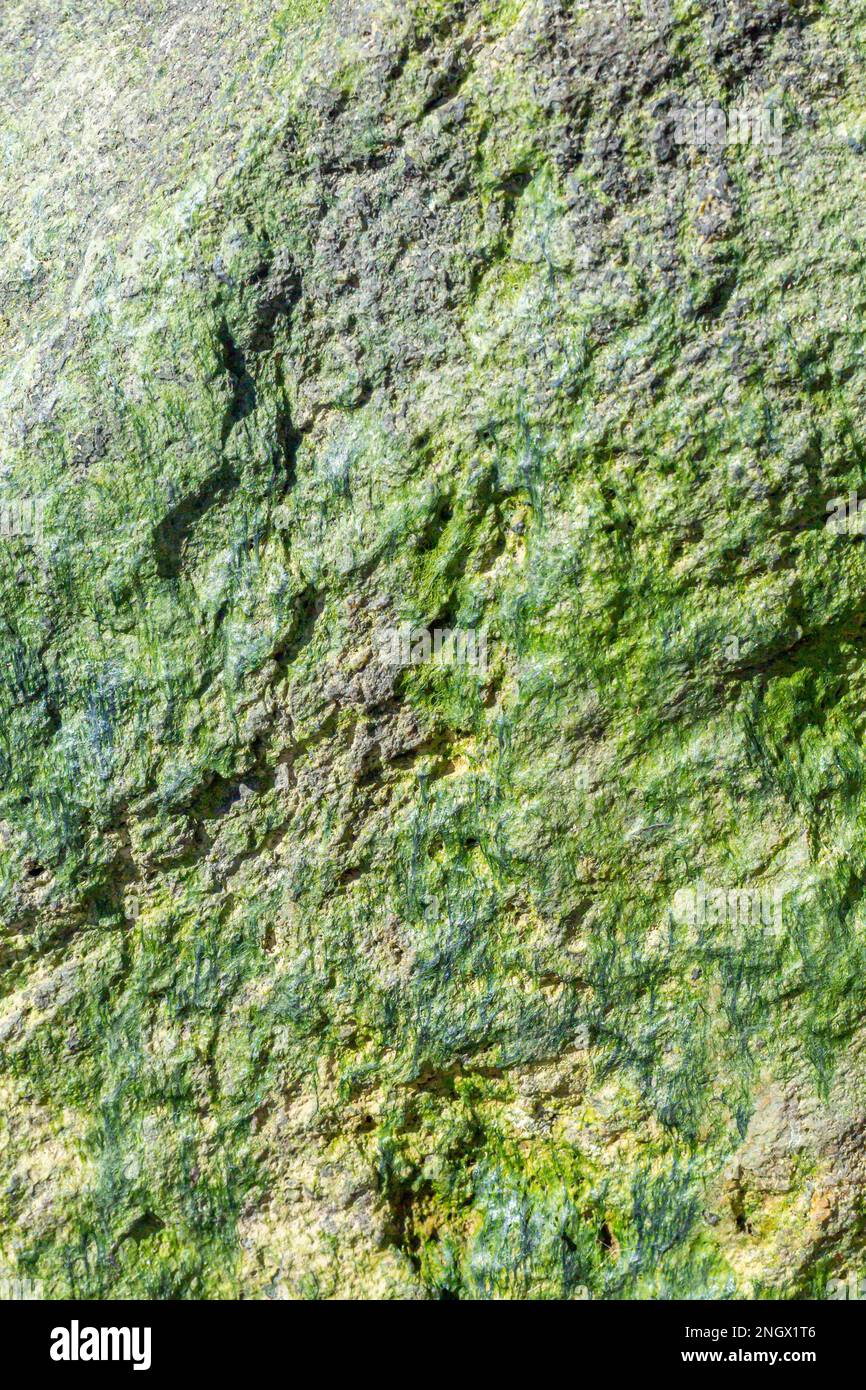 marble surface with gray tint and algae, background Stock Photo - Alamy