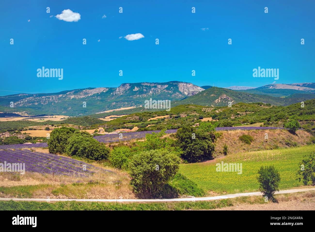 Jakobsweg nordspanien hi-res stock photography and images - Alamy