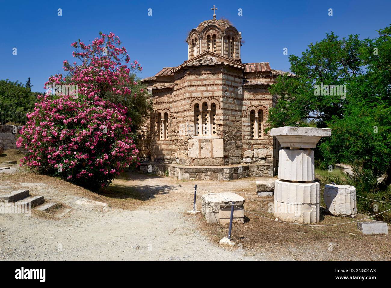 Apostles flower hi-res stock photography and images - Alamy