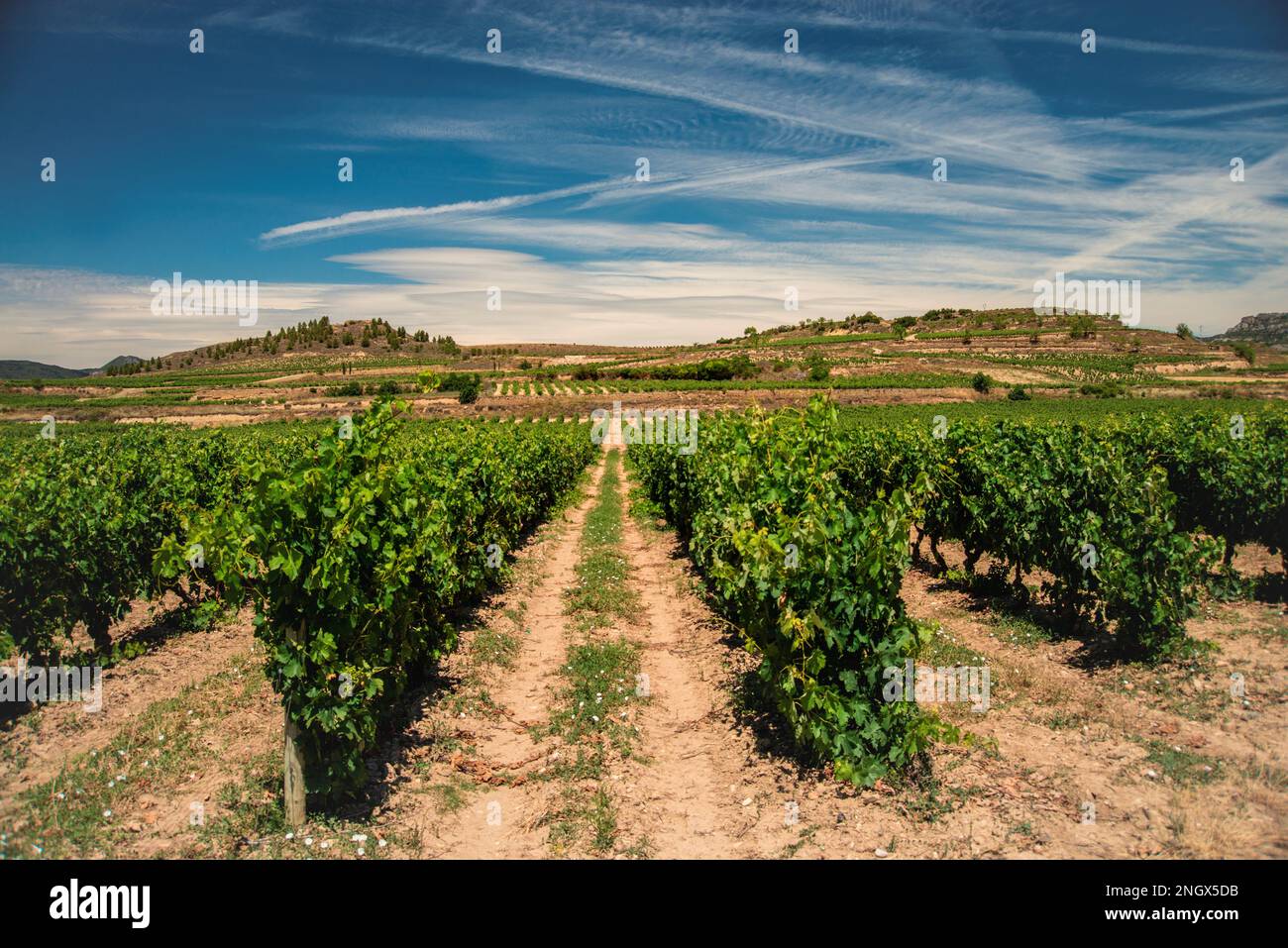Rioja wein hi-res stock photography and images - Alamy