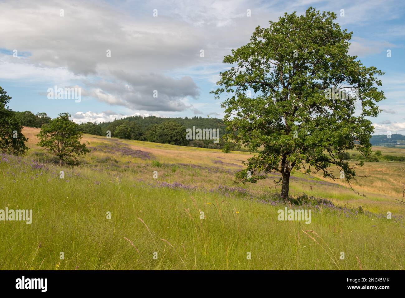 Baskett Slough National Wildlife Refuge, view of the Baskett Butte ...