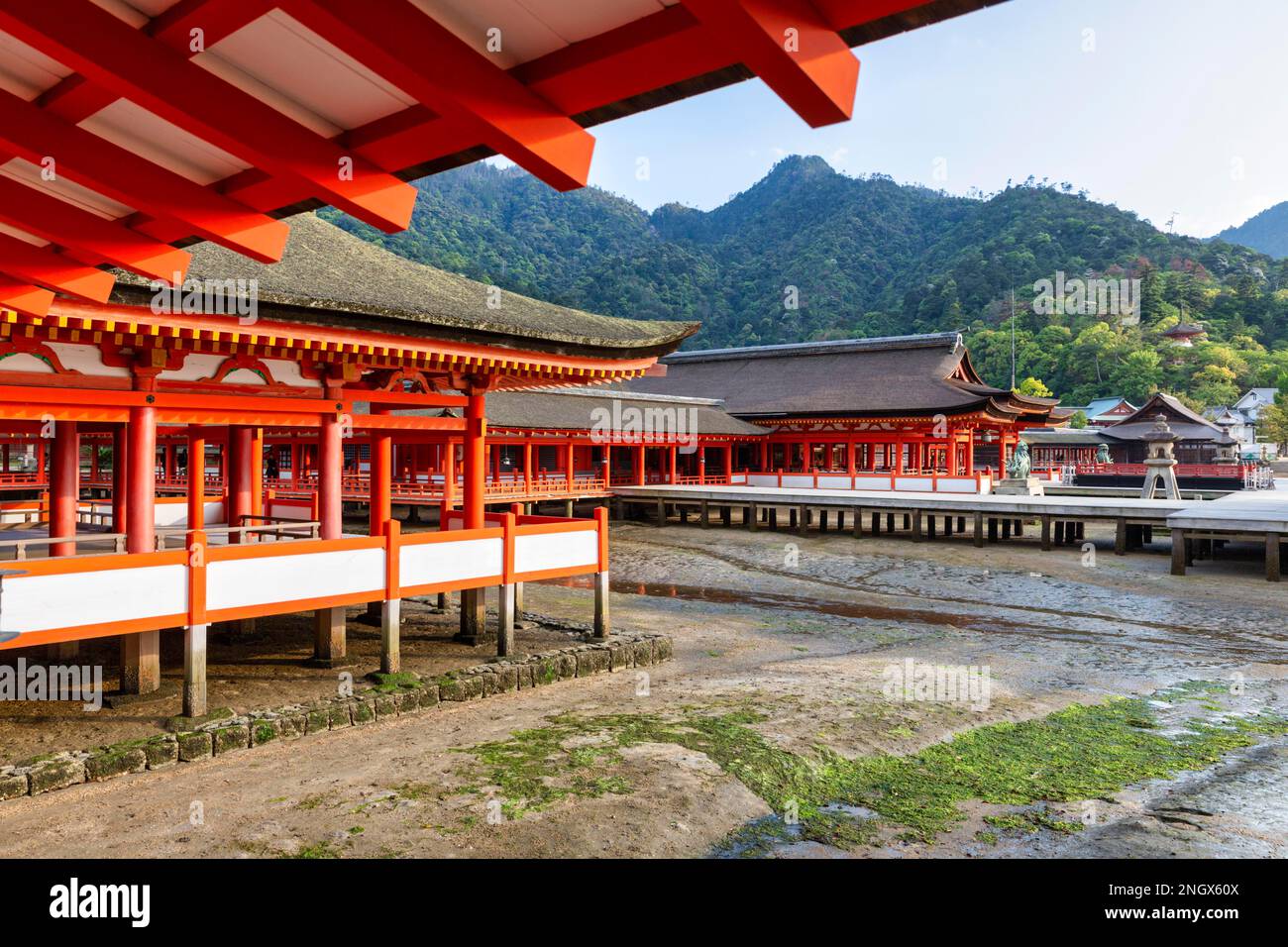Itsukushima Miyajima Japan. Itsukushima Shrine Stock Photo - Alamy