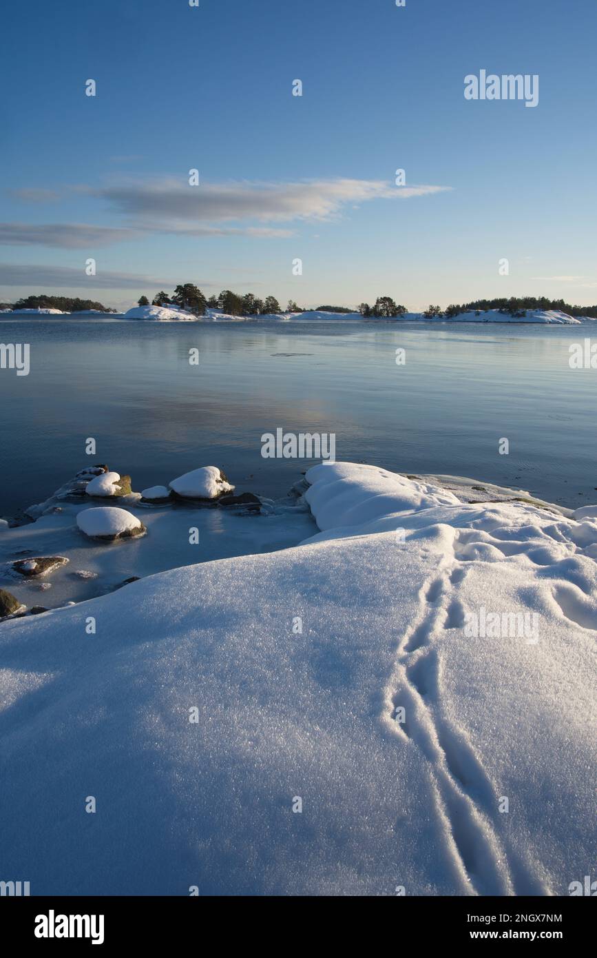 Winter at Stendorren Sodermanland Sweden Stock Photo - Alamy