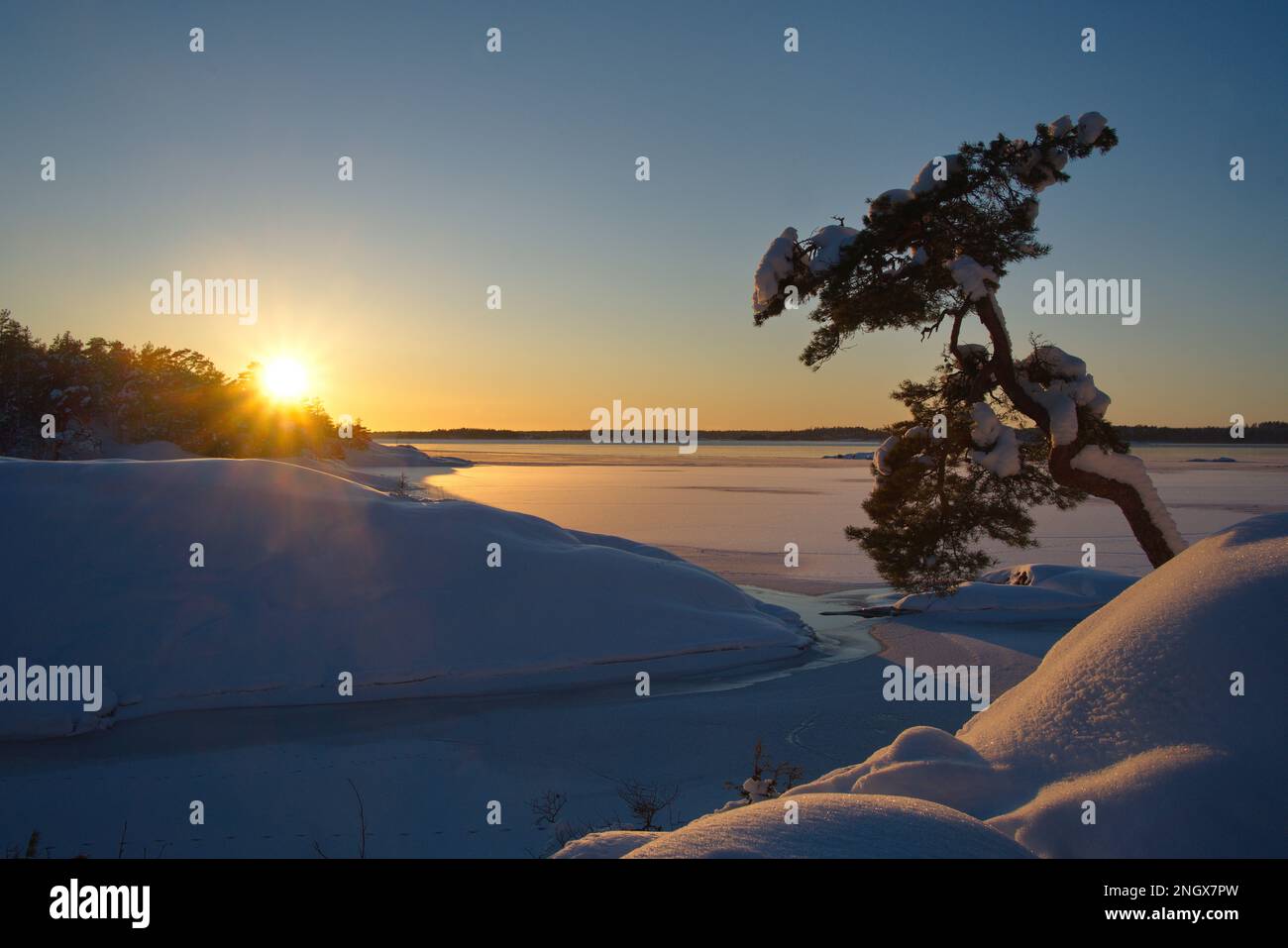 Winter at Stendorren Sodermanland Sweden Stock Photo - Alamy