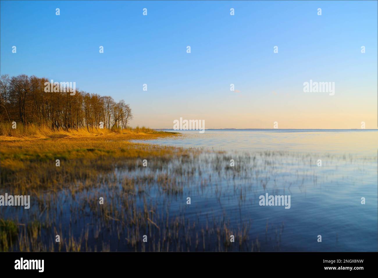 lake autumn landscape, golden hour, yellow forest blue calm smooth ...