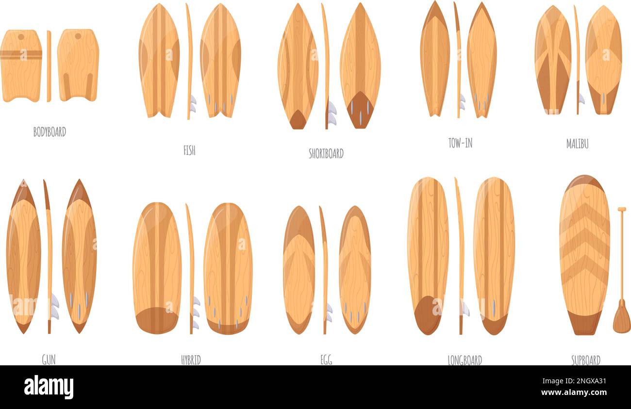 Surf Board Types at Sebastian Vosz blog