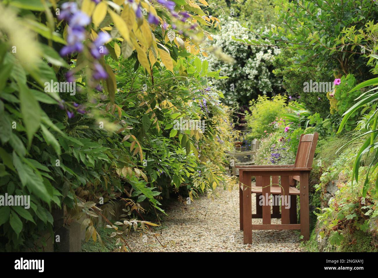 Wistaria garden gardens hi-res stock photography and images - Alamy