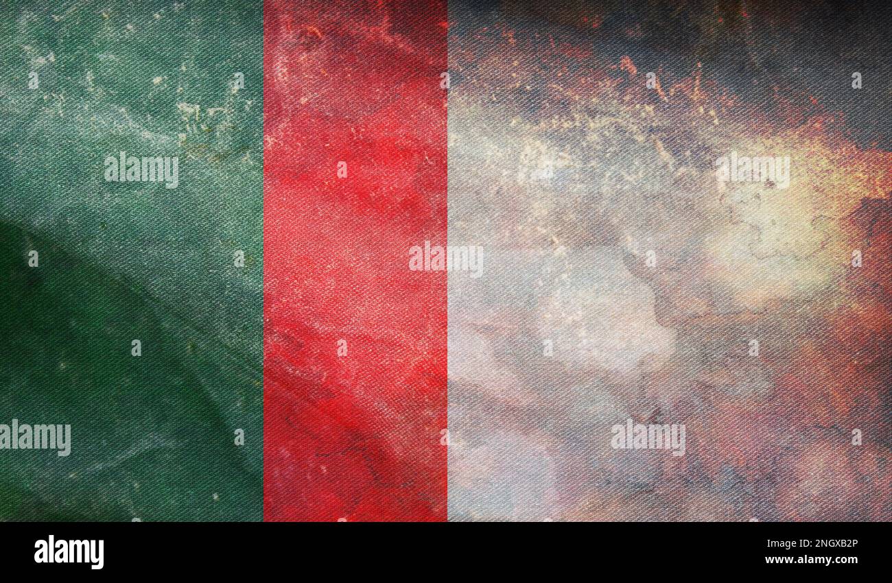 retro flag of Indo Aryan ethnoreligious groups Muhajirs with grunge ...