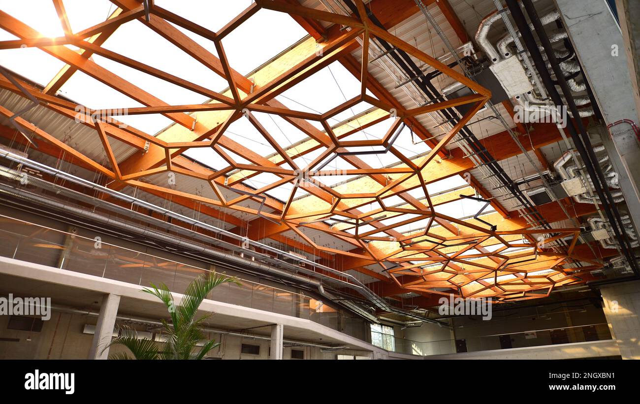 Wooden ceiling structure. Building with modern architectural design ...