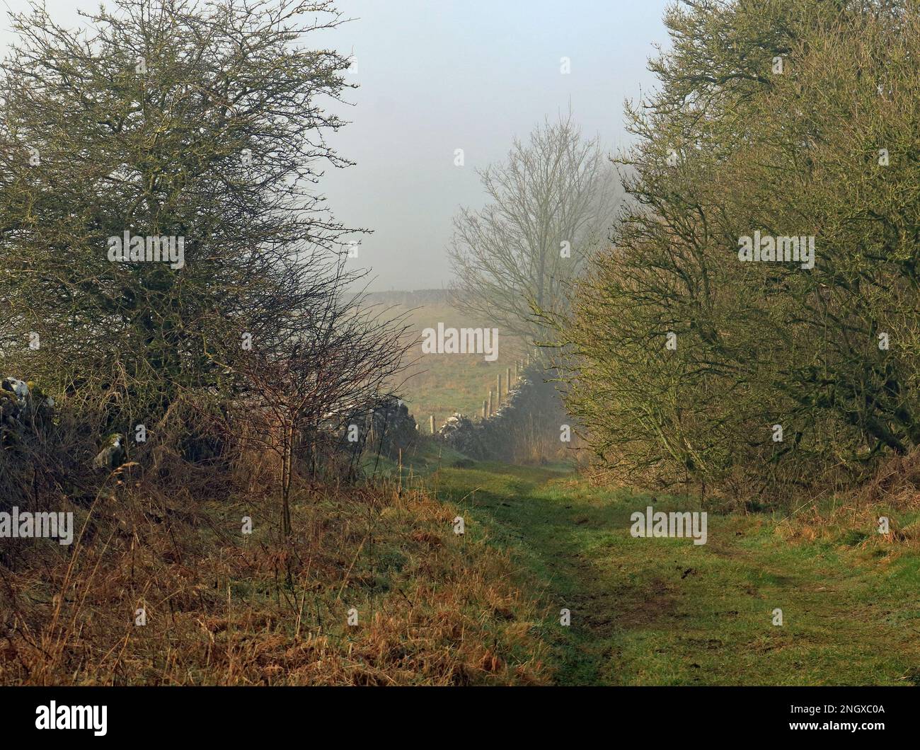 Colin wareing hi-res stock photography and images - Alamy