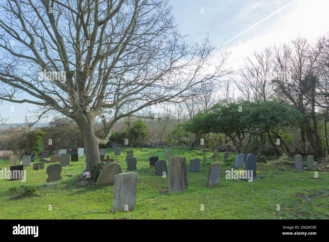 Architectural Heritage , Disused Churches in Essex , Rear of Churchyard ...