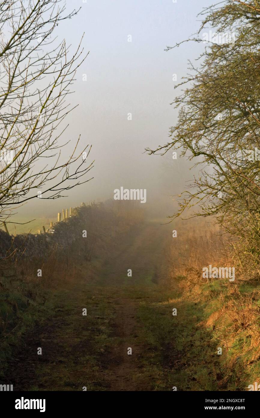 The weak winters sun is starting to stir the day as it warms up the ...