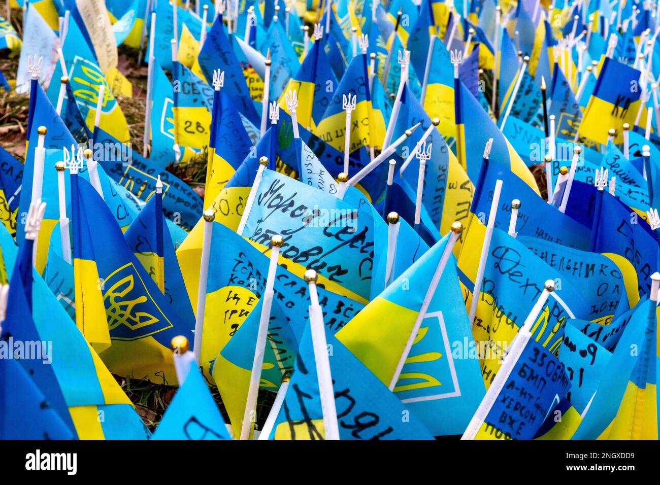 Kyiv, Ukraine. 19th Feb, 2023. Blue and yellow Ukrainian national flags ...