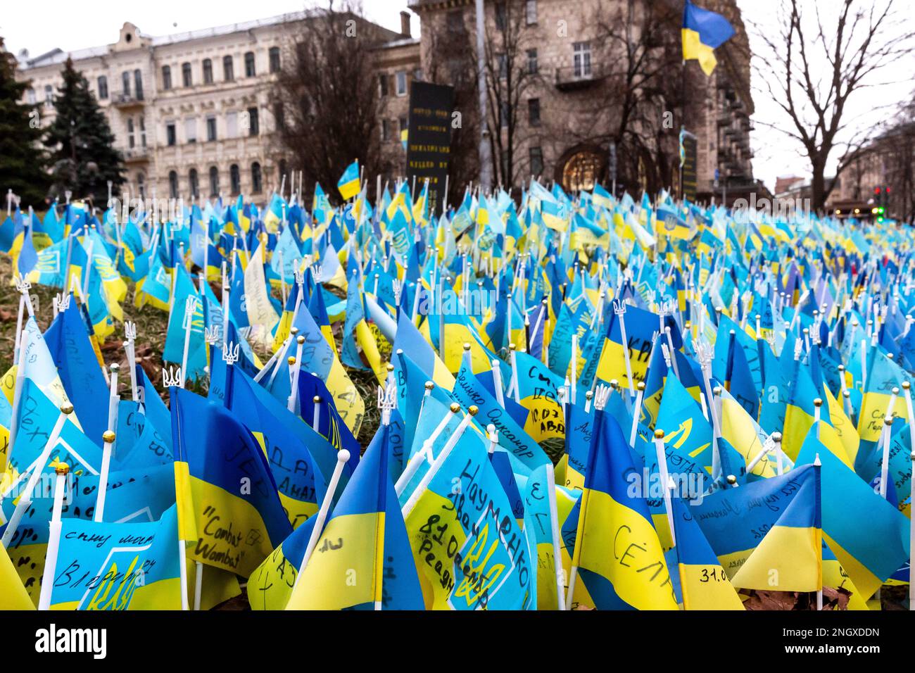 Kyiv, Ukraine. 19th Feb, 2023. Blue and yellow Ukrainian national flags ...
