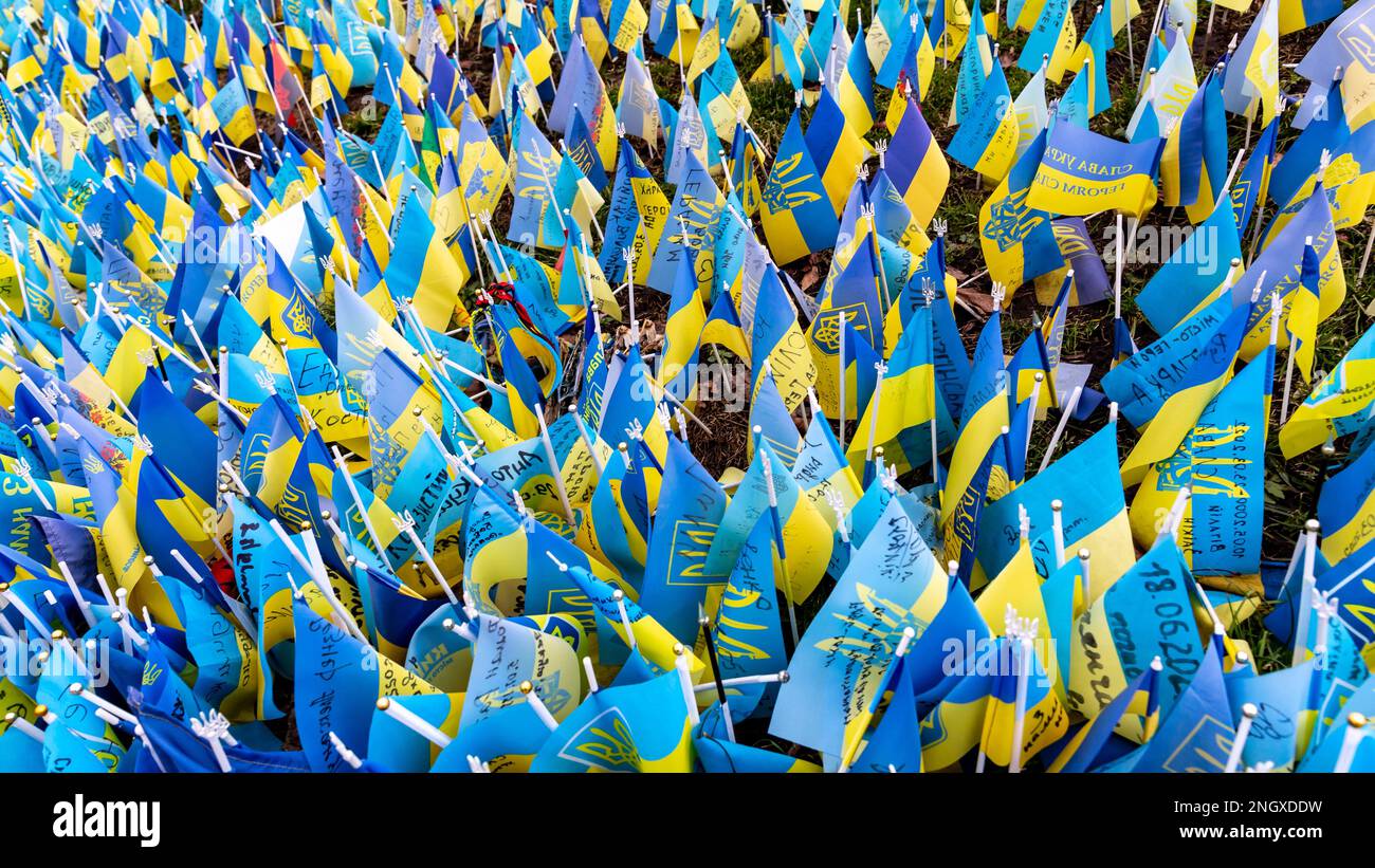 Kyiv, Ukraine. 19th Feb, 2023. Blue and yellow Ukrainian national flags ...