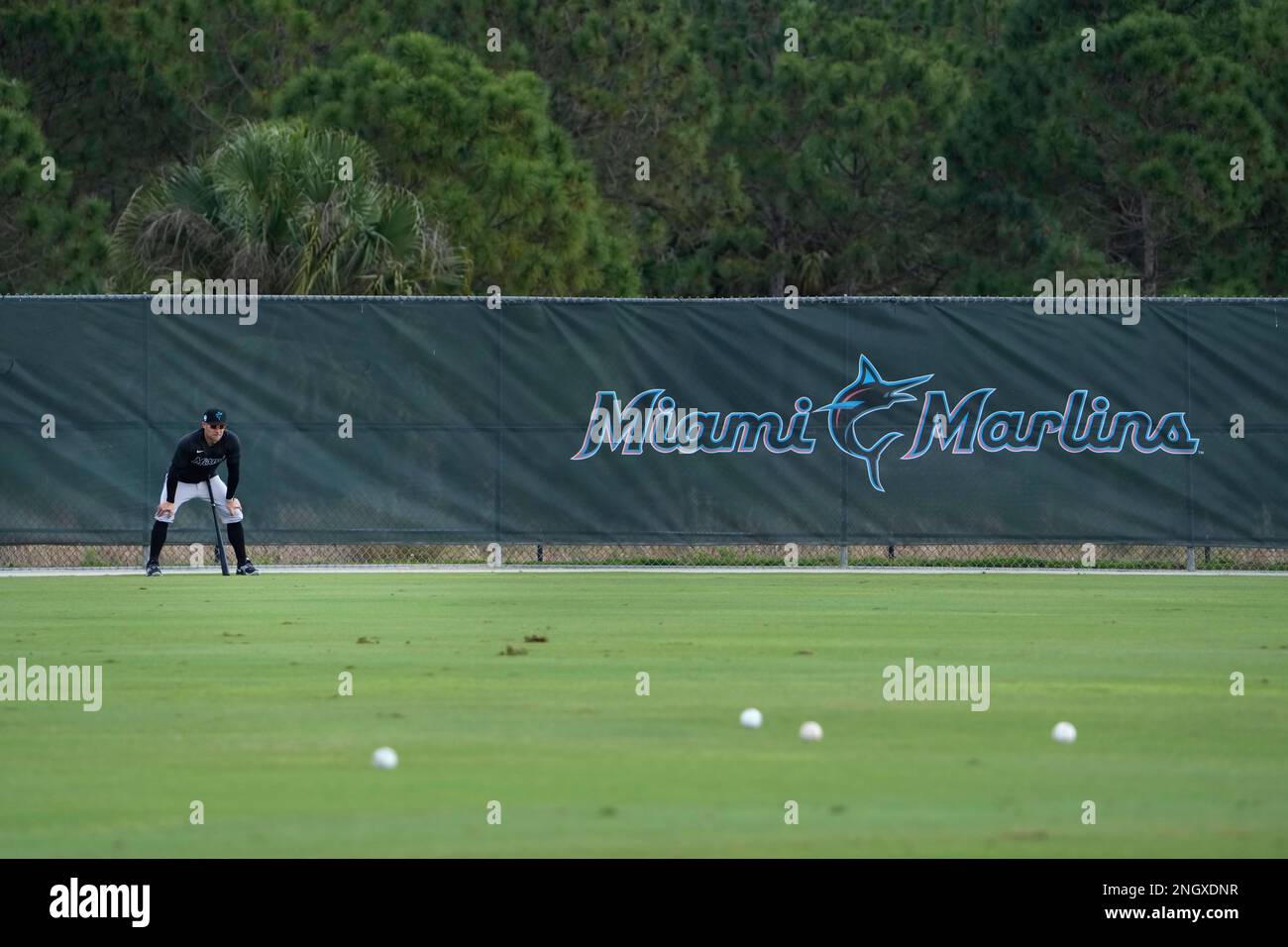 Miami Marlins manager Skip Schumaker watches during spring training ...