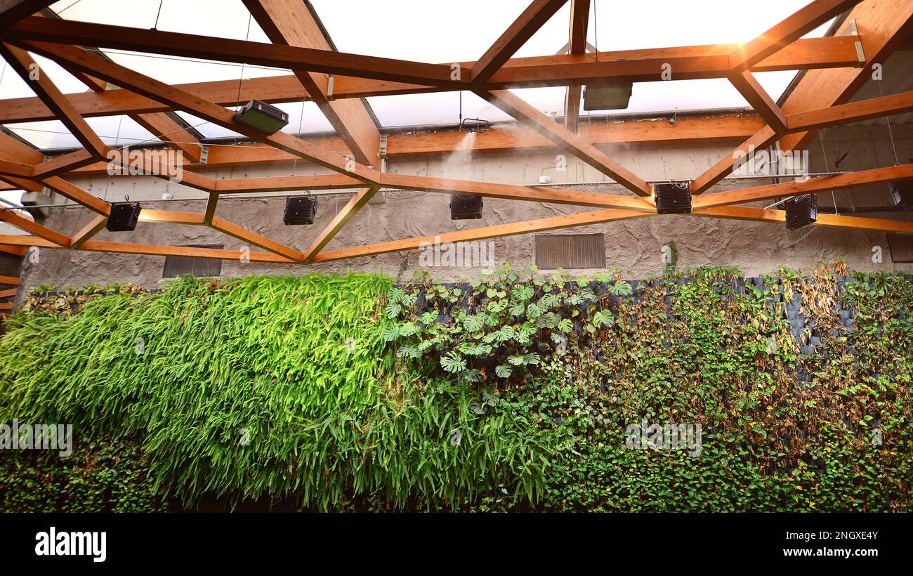 Wooden ceiling structure. Building with modern architectural design ...