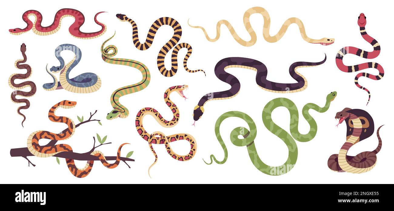 Strangling the snakes Stock Vector Images - Alamy