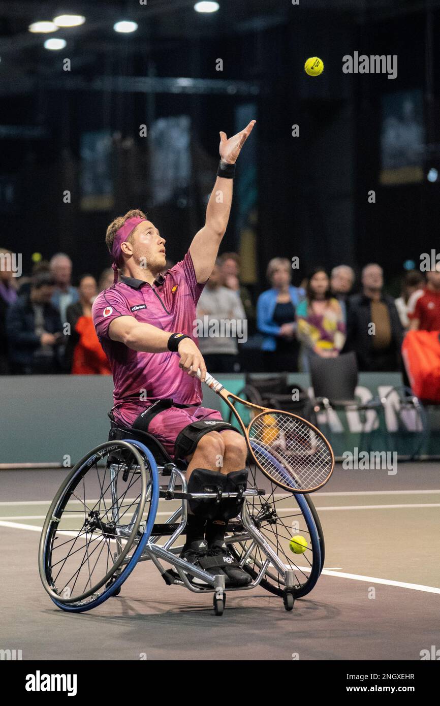 ROTTERDAM, THE NETHERLANDS - FEBRUARY 19 : Alfie Hewett of Great ...