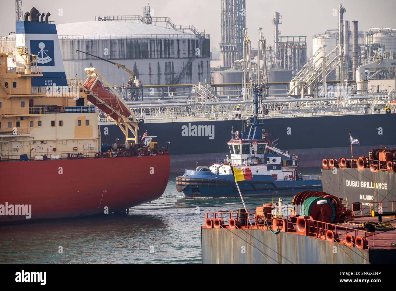 Navigator genesis hi-res stock photography and images - Alamy