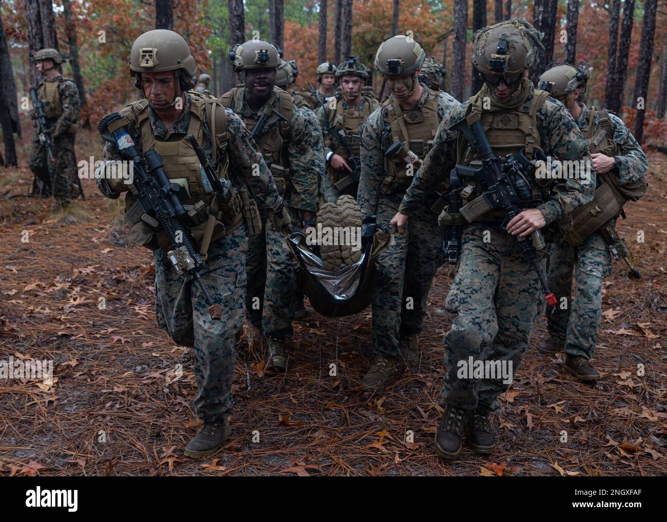 U.S. Marines with 1st Battalion, 6th Marine Regiment, 2d Marine ...