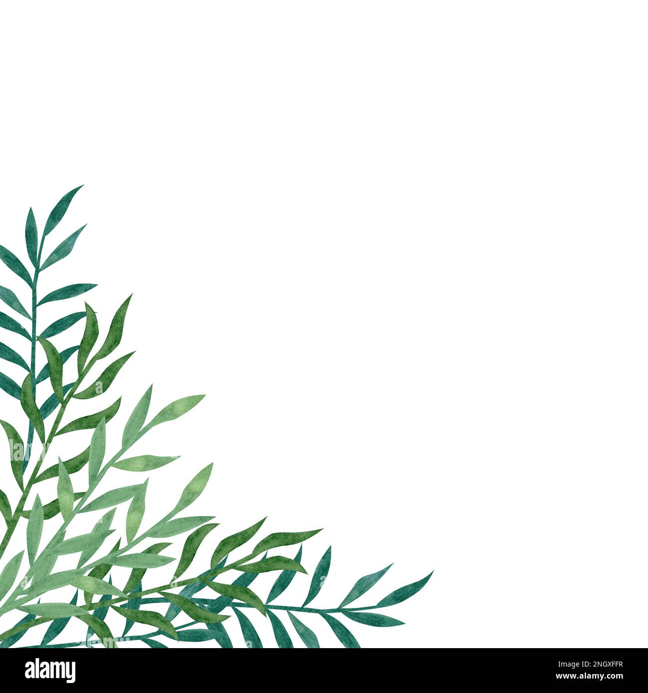 Frame from abstract green leaves. Hand-drawn watercolor illustration ...