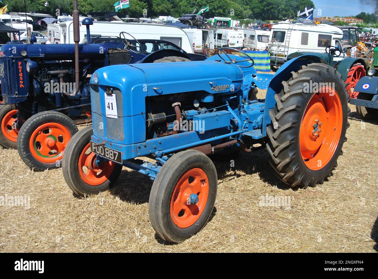 A 1952 Fordson Major E1ADKN tractor parked on display at the Torbay ...