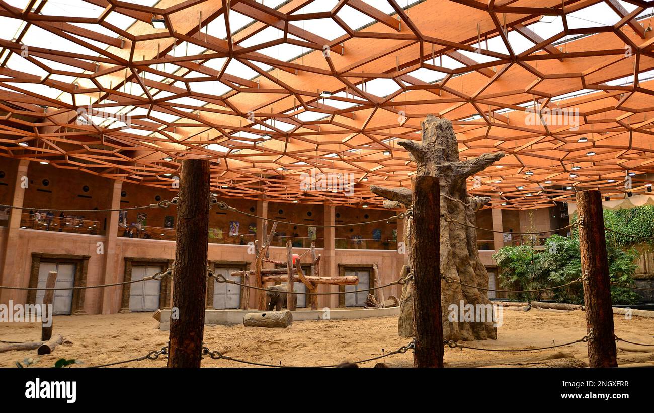 Lodz, Poland. 16 February 2023. Orientarium Zoo Lodz. Elephant paddock ...