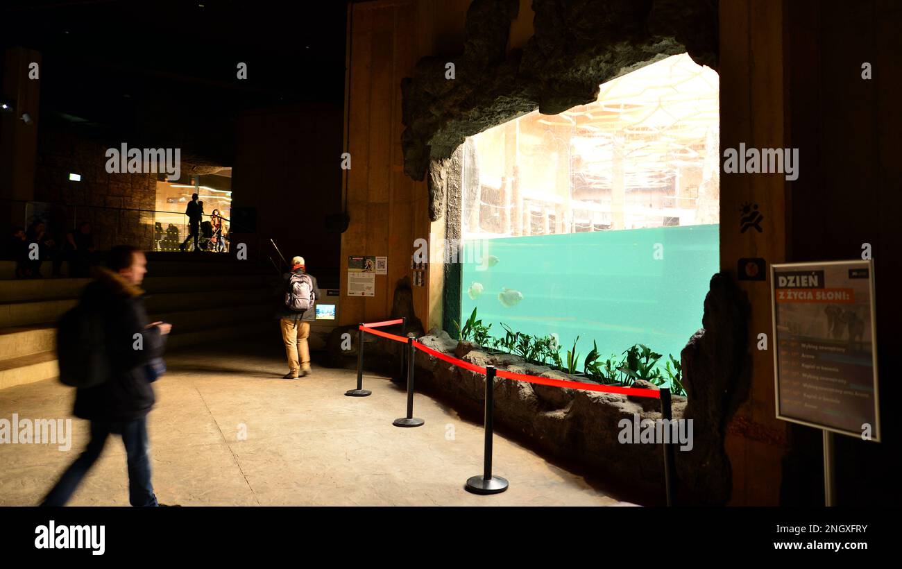 Lodz, Poland. 16 February 2023. Orientarium Zoo Lodz. Elephant paddock ...