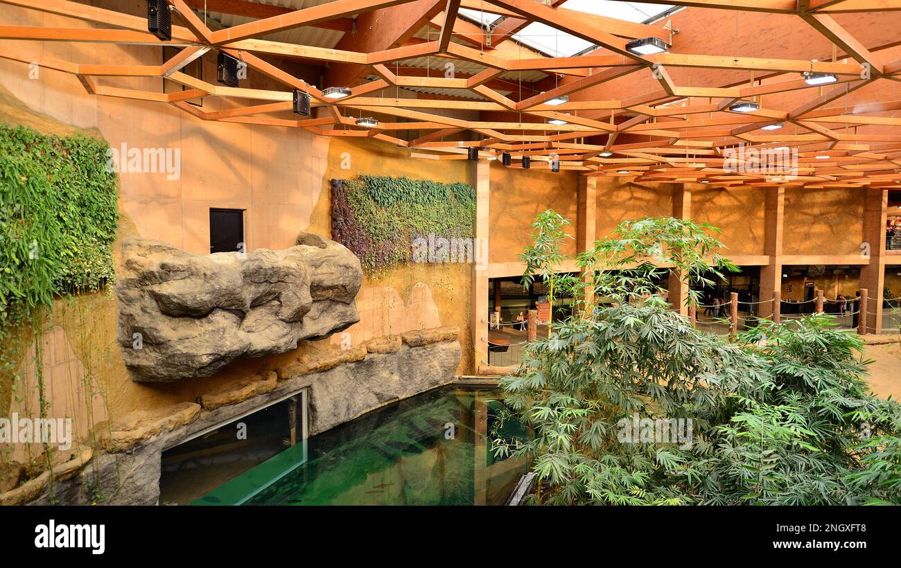 Lodz, Poland. 16 February 2023. Orientarium Zoo Lodz. Elephant paddock ...