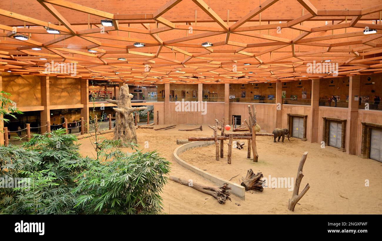 Lodz, Poland. 16 February 2023. Orientarium Zoo Lodz. Elephant paddock ...