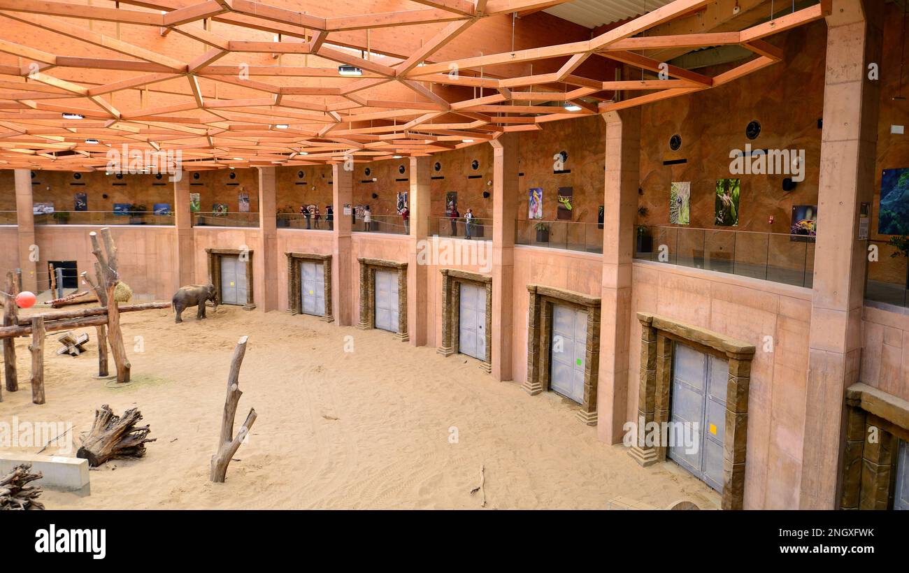 Lodz, Poland. 16 February 2023. Orientarium Zoo Lodz. Elephant paddock ...