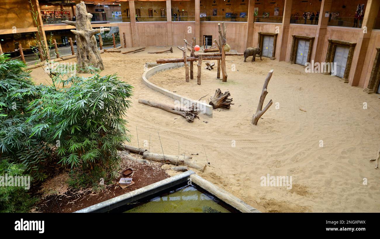 Lodz, Poland. 16 February 2023. Orientarium Zoo Lodz. Elephant paddock ...