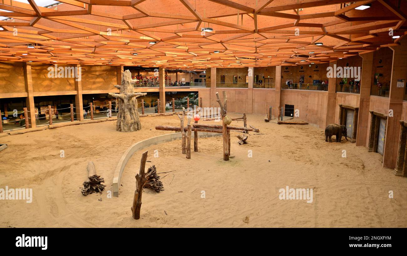 Lodz, Poland. 16 February 2023. Orientarium Zoo Lodz. Elephant paddock ...