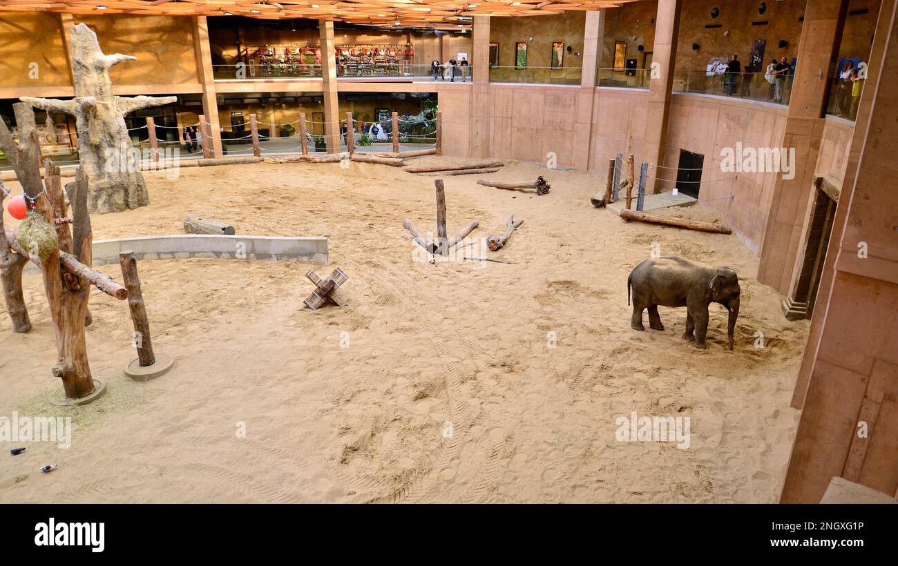 Lodz, Poland. 16 February 2023. Orientarium Zoo Lodz. Elephant paddock ...