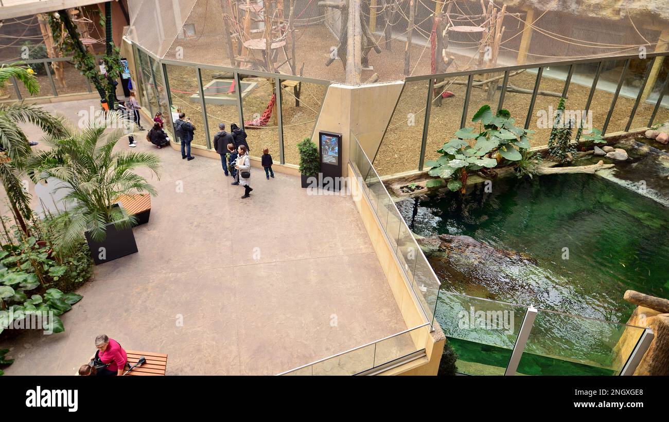 Lodz, Poland. 16 February 2023. Orientarium Zoo Lodz. Modern interior ...