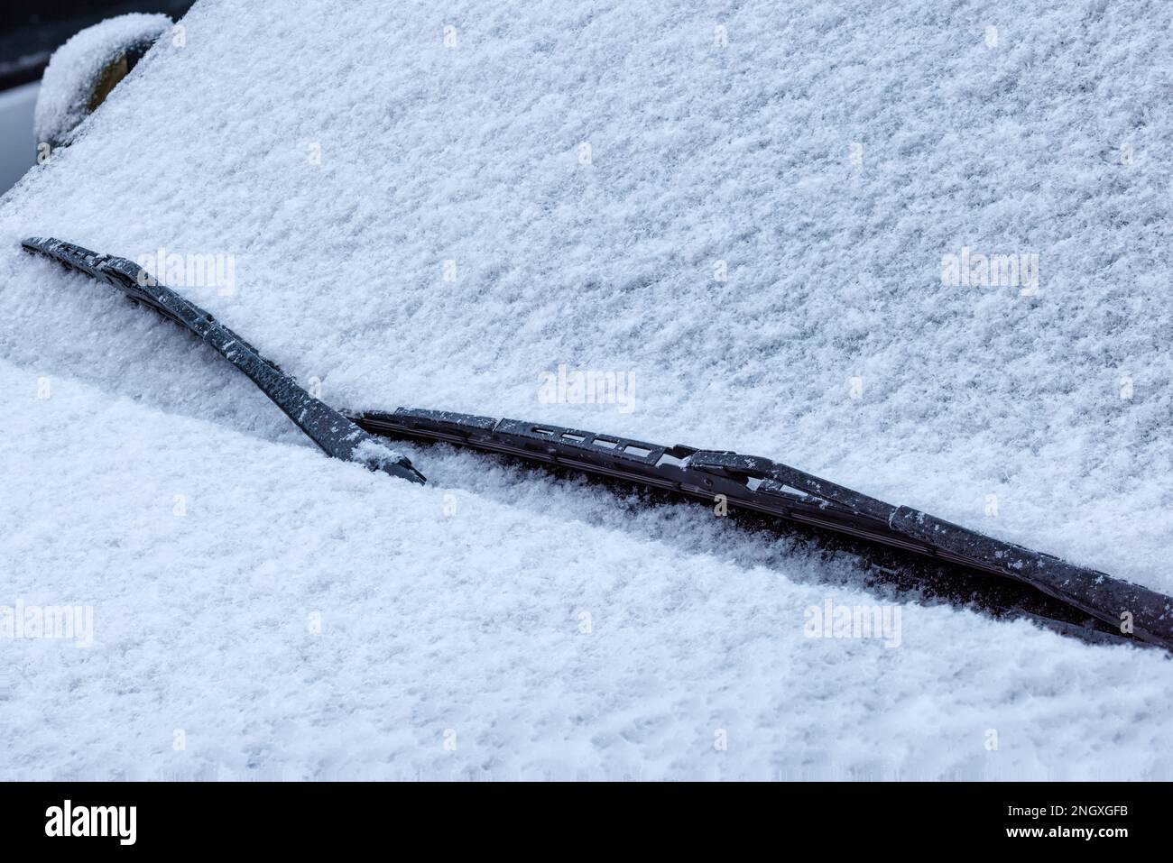 snow covered car windshield, wipers and bonnet Stock Photo - Alamy