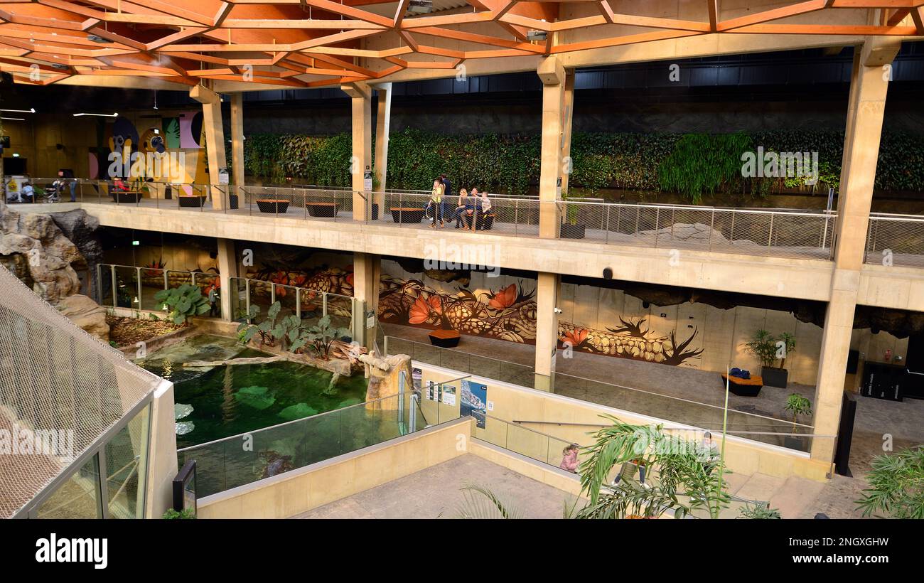 Lodz, Poland. 16 February 2023. Orientarium Zoo Lodz. Modern interior ...