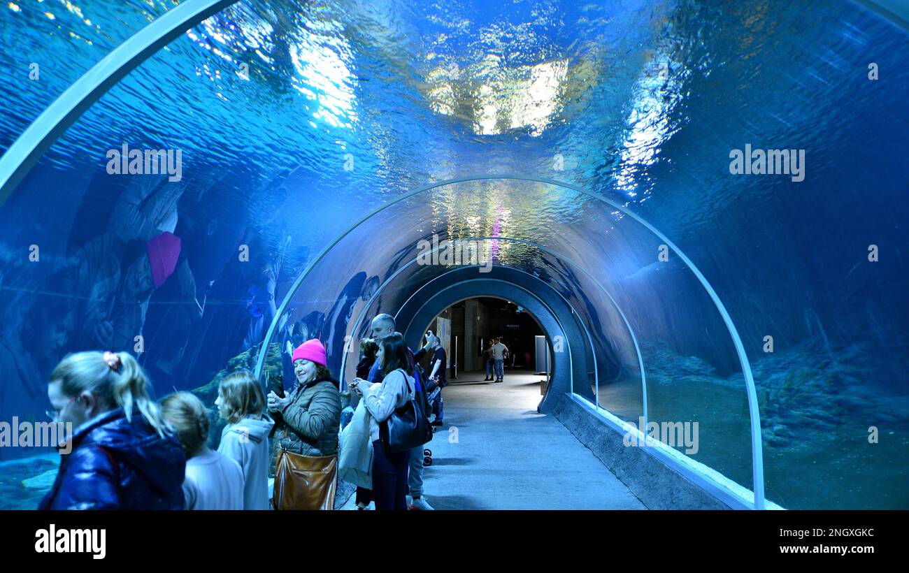 Lodz, Poland. 16 February 2023. Orientarium Zoo Lodz. Group of tourists ...