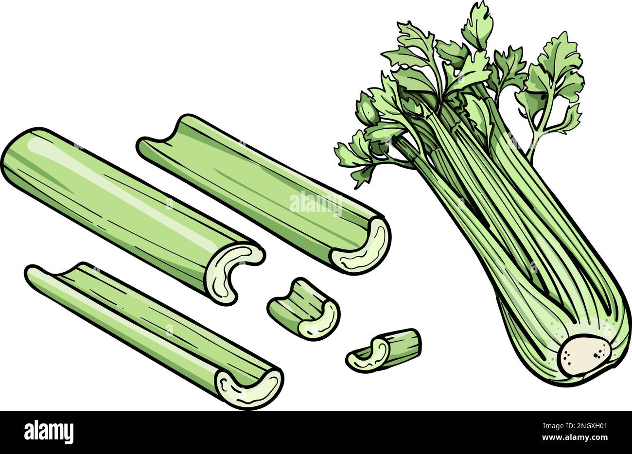 Cartoon celery hi-res stock photography and images - Alamy